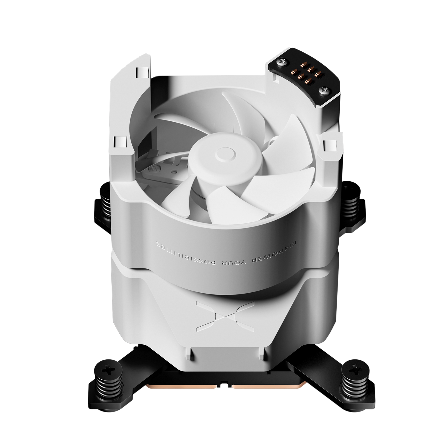 TRYX | WB - White